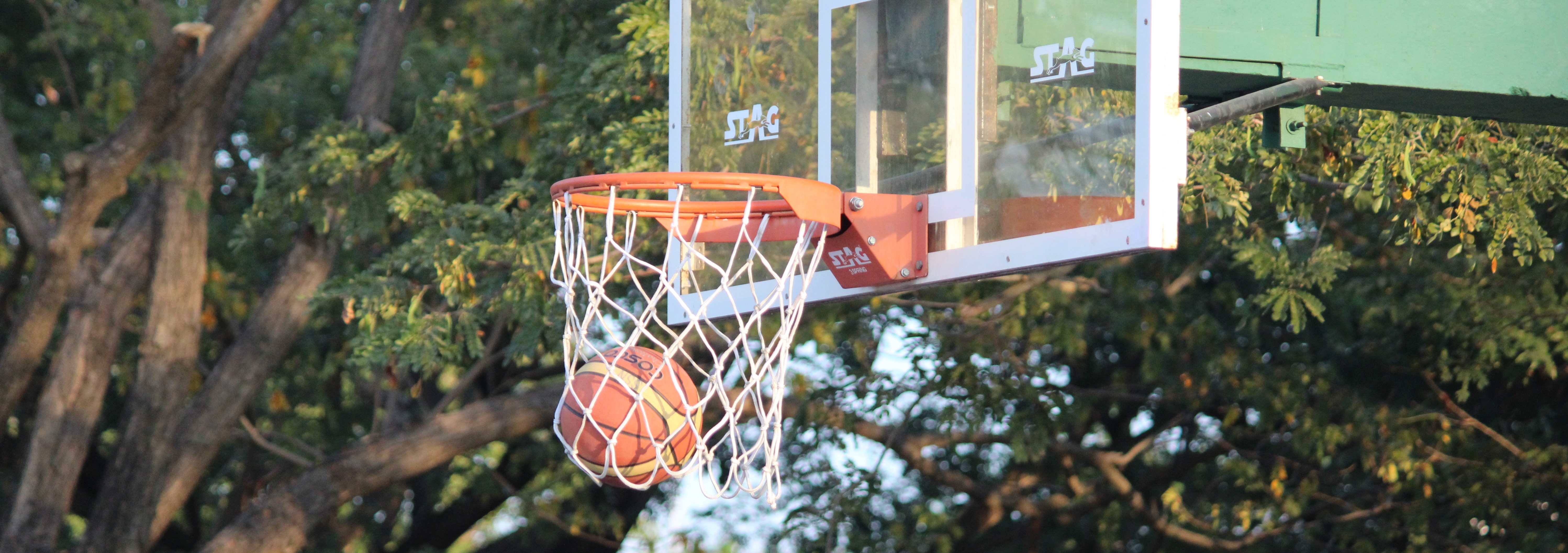 SSN Sports | Overview